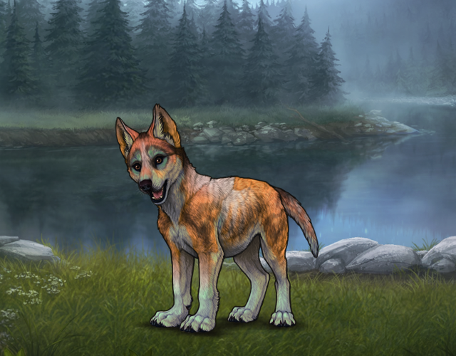 New Puppy |:| Wolvden