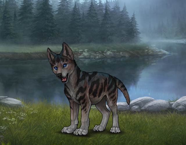New Puppy |:| Wolvden
