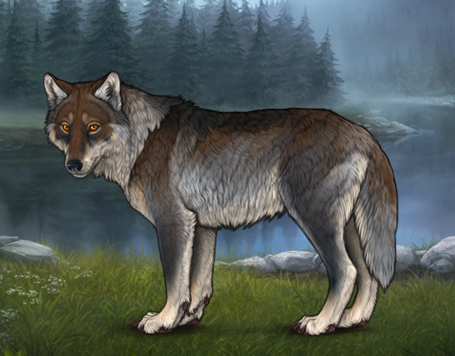 Chased Wolf Spotting - Revamped |:| Wolvden