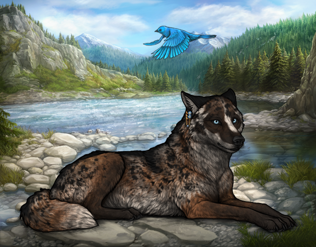 Badger G2 |:| Wolvden