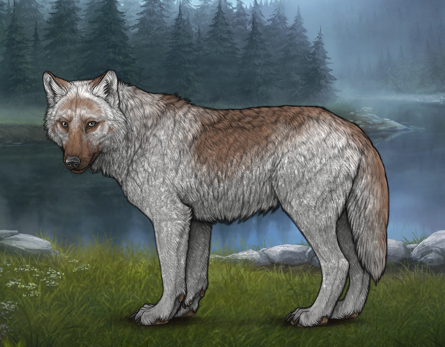 New Befriended Wolf |:| Wolvden