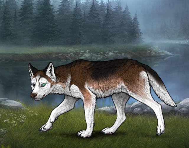 T1 Bone eyes |:| Wolvden