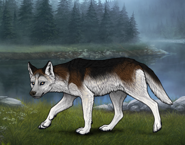 Beryl M 428s 5M G2 |:| Wolvden