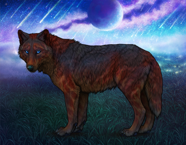 New Befriended Wolf |:| Wolvden