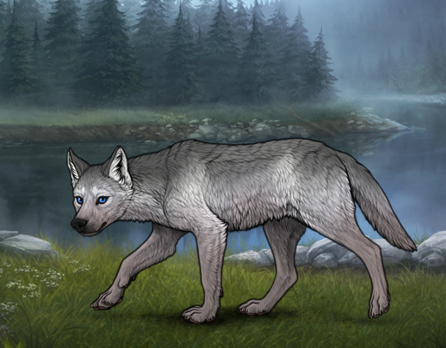 Gray Finisher Training |:| Wolvden