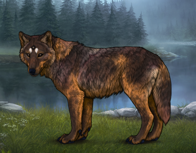 Chased Wolf Spotting - Revamped |:| Wolvden