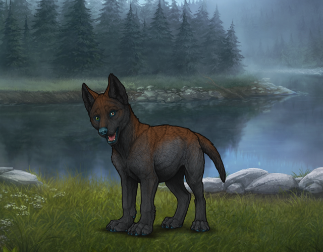 giveaway pup |:| Wolvden