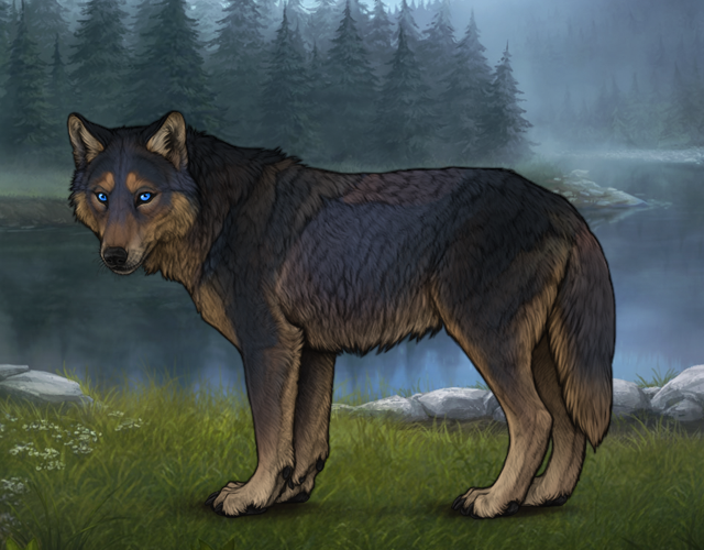 G3 Blueschist 5m (rare) M |:| Wolvden