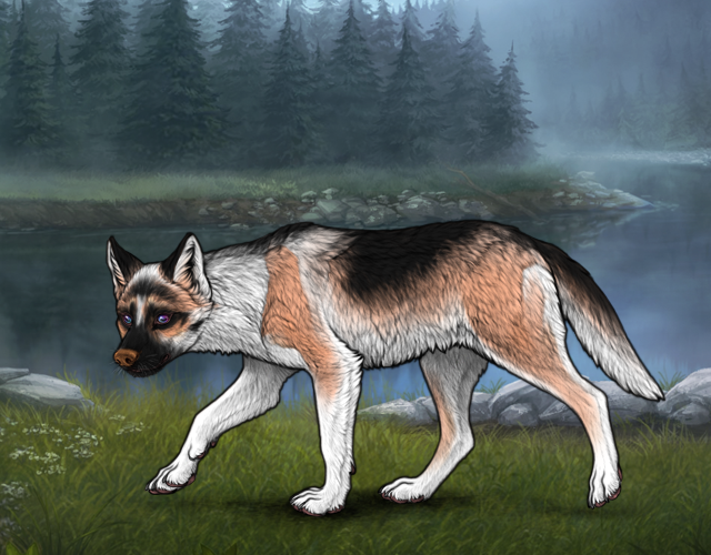 New Runt Puppy |:| Wolvden