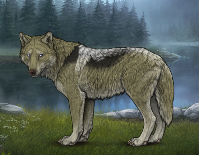 Grey Wind |:| Wolvden