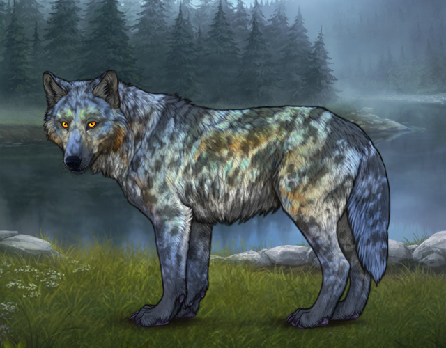 Piasa pastel merle 3G |:| Wolvden