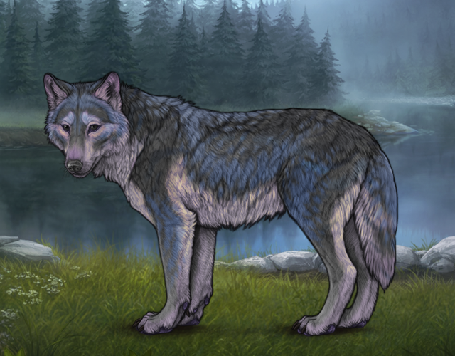 Blue Light |:| Wolvden