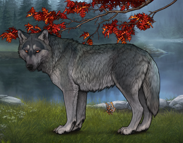 G2 Grulla 3m |:| Wolvden