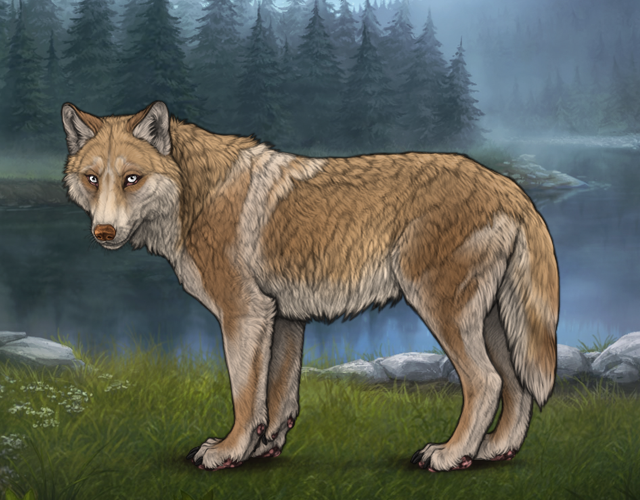 New Runt Puppy |:| Wolvden