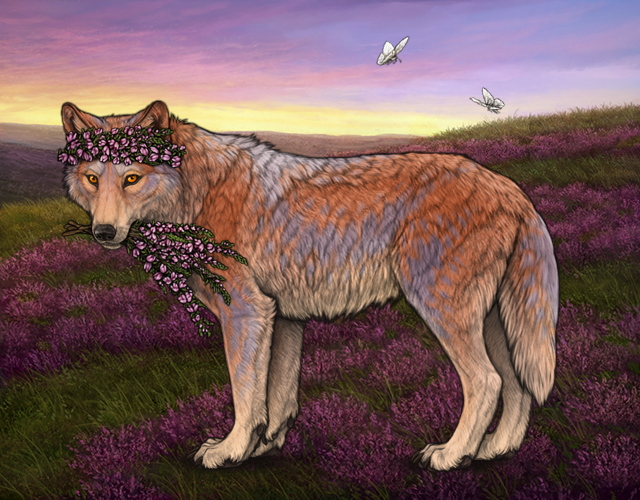 What wolf from the person above is best decorated? |:| Wolvden