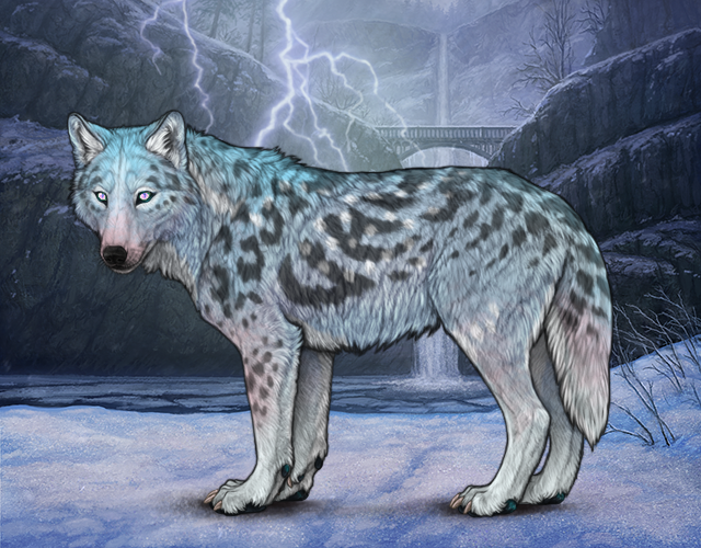 Keep / TBN |:| Wolvden