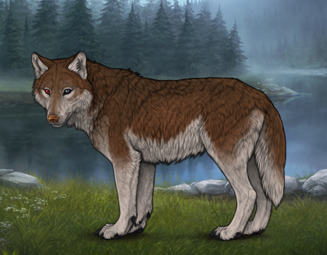 T1 G3 6m | split |:| Wolvden