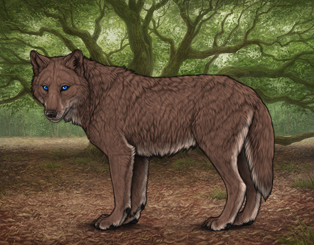 Salvis Adonis |:| Wolvden