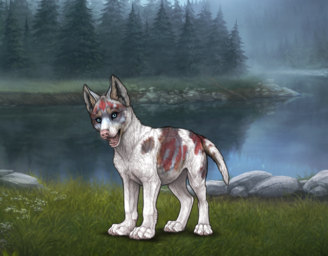 Piebald Biewer |:| Wolvden