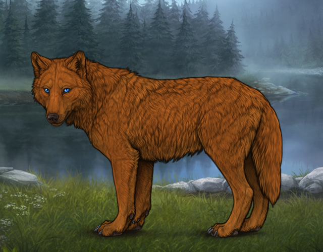 NBW Hereditary Cataracts |:| Wolvden