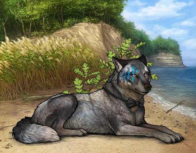 caribou 7m |:| Wolvden