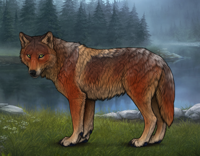 Chestnut S |:| Wolvden