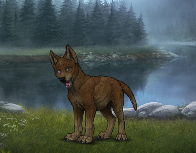 Badger Gen 9 RnC |:| Wolvden