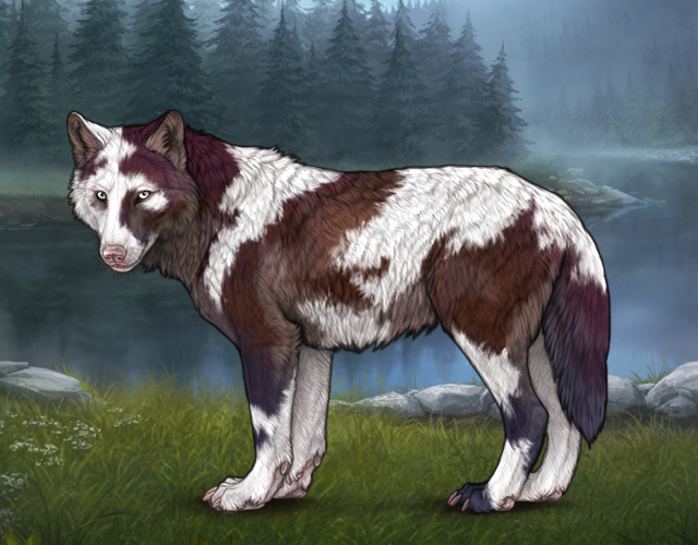 liver pie |:| Wolvden