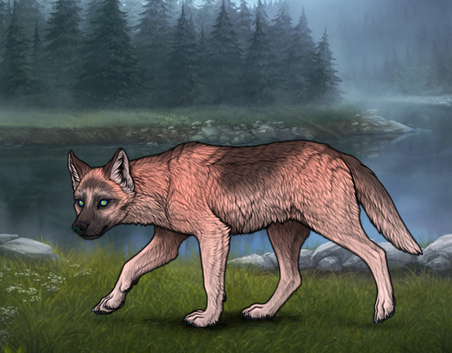 New Runt Puppy |:| Wolvden