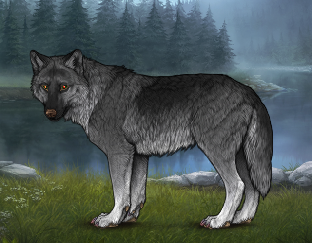 Silver Halo |:| Wolvden