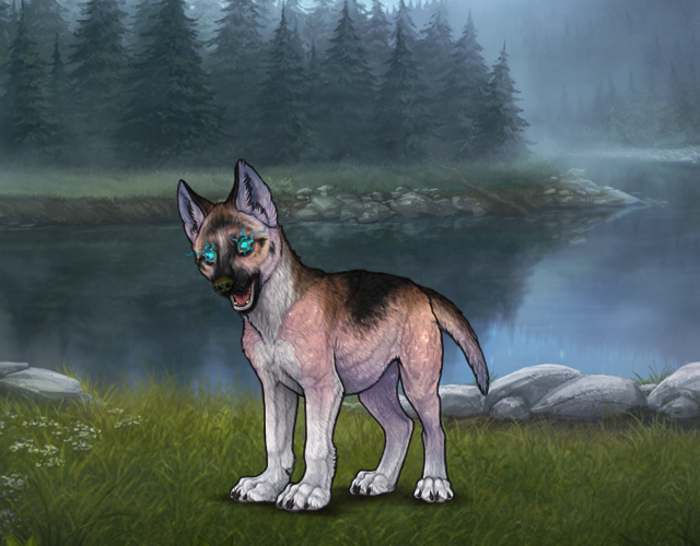 Chased Wolf Spotting - Revamped |:| Wolvden