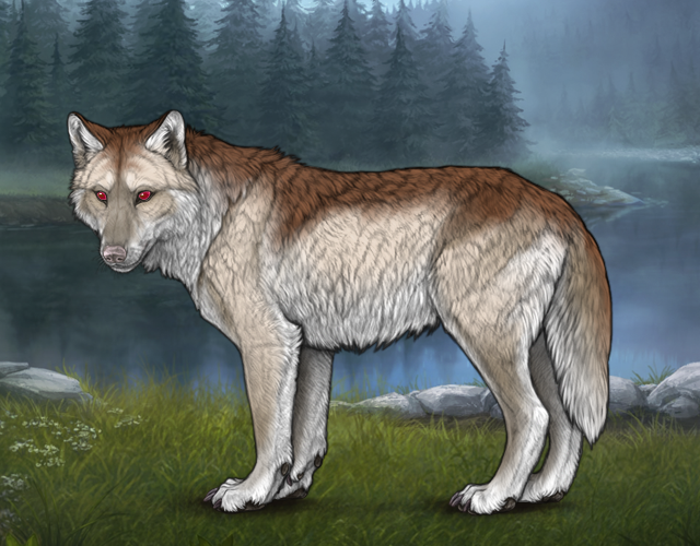 Female 2 |:| Wolvden