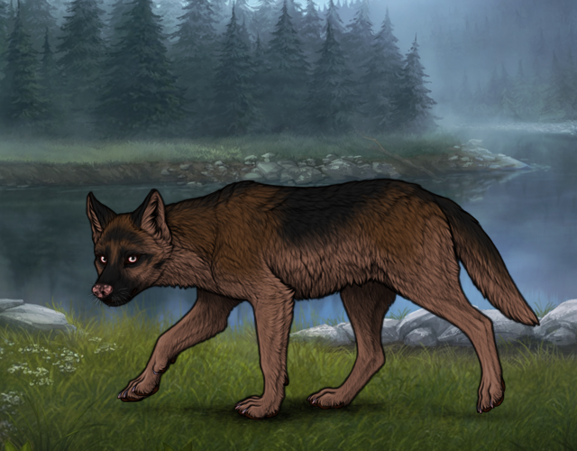 G9 | T1 | M6 |:| Wolvden