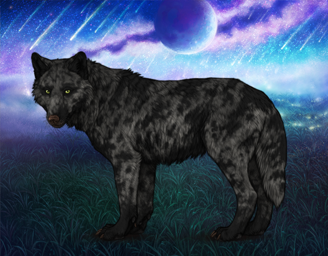 Olivia Adonis |:| Wolvden