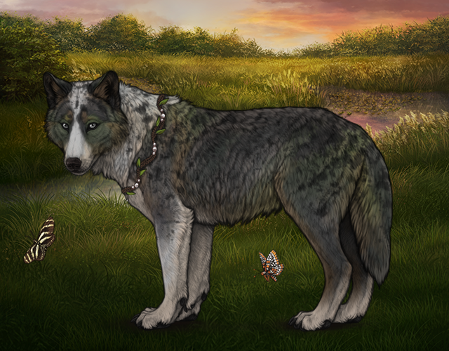 𝘑𝘰𝘶𝘳𝘯𝘦𝘺 |:| Wolvden