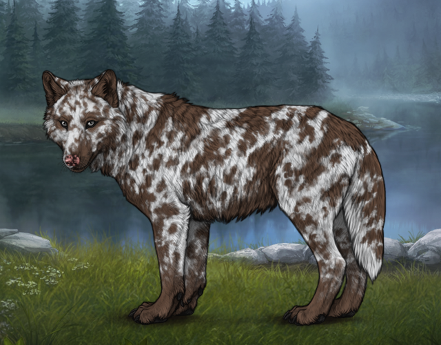 six merle g2 |:| Wolvden