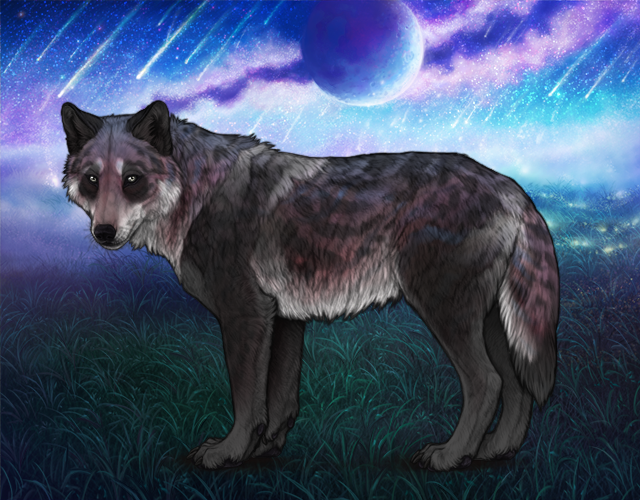 Chased Wolf Spotting - Revamped |:| Wolvden