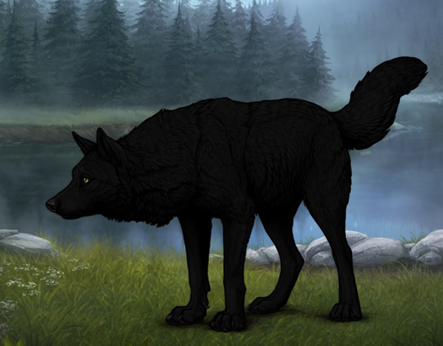 G4 SF mela |:| Wolvden