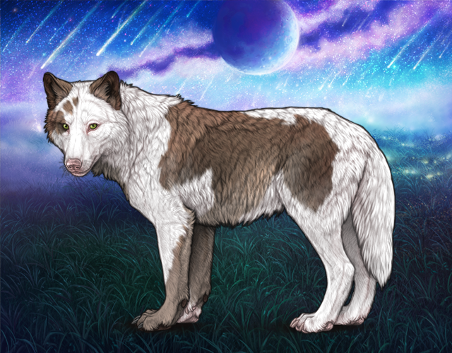 Piebald dip |:| Wolvden