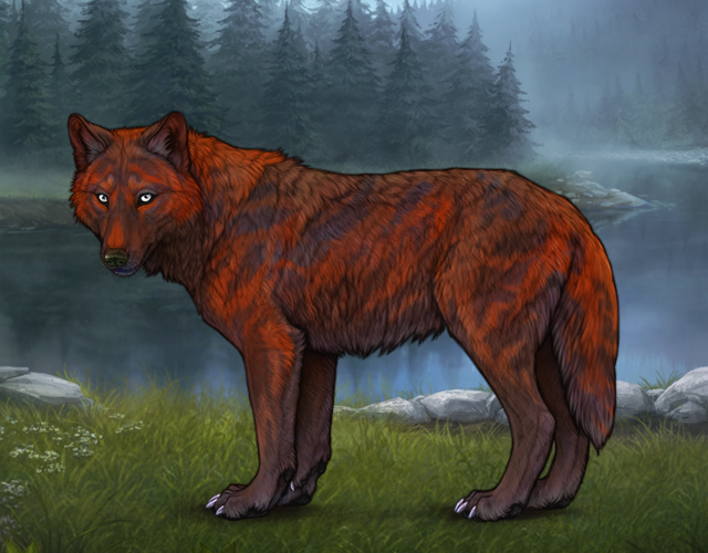 Pretty red 262S -100 |:| Wolvden