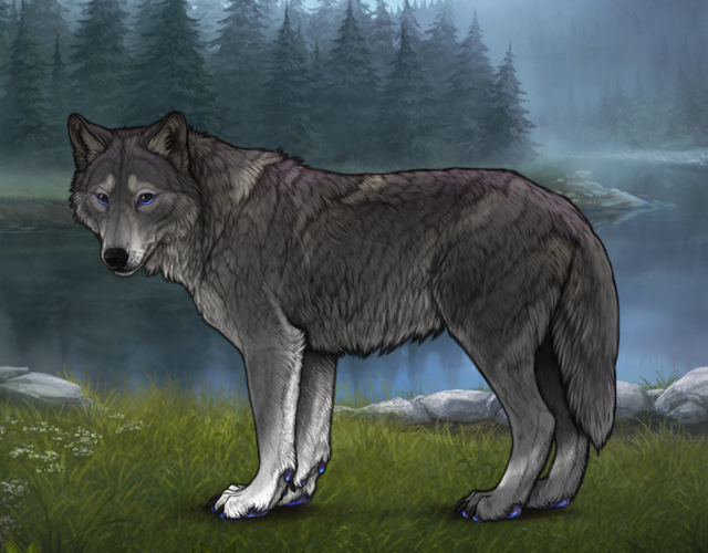 M T3 Flint 7M |:| Wolvden