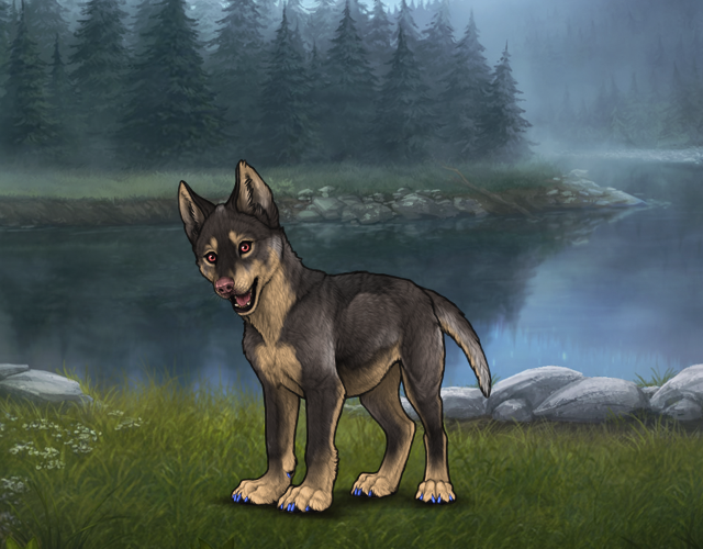 New Befriended Wolf |:| Wolvden