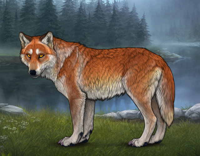 Hyperdontia fox G2 |:| Wolvden