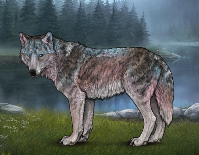 T2 6m 3g |:| Wolvden