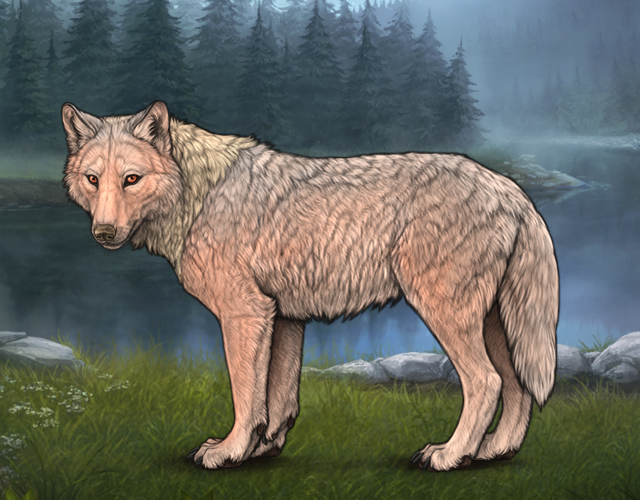 Peach Paw|G1|T2 |:| Wolvden