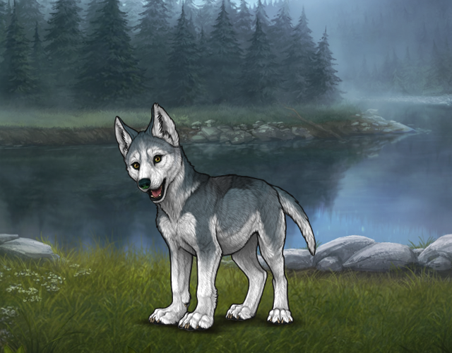 pretty pastel |:| Wolvden