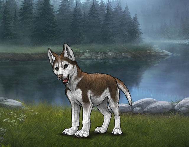 Chased Wolf Spotting - Revamped |:| Wolvden