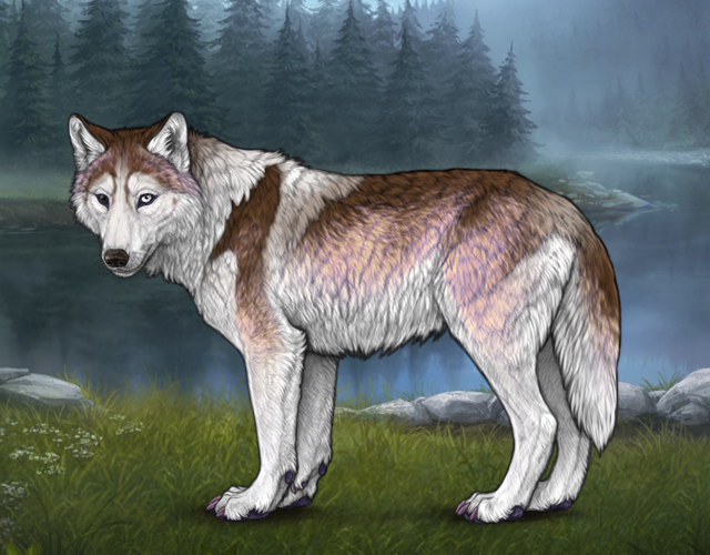 Klaus Heisler |:| Wolvden