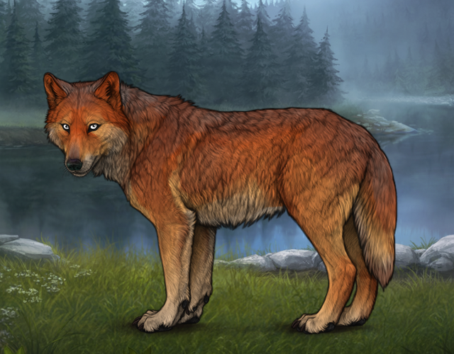 Keep / R&C |:| Wolvden