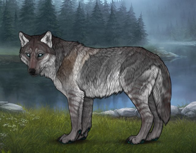 Striped Flint Husky 8M 1B |:| Wolvden